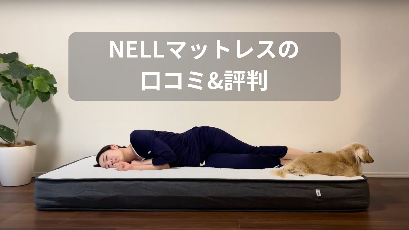 【完全ガイド】NELL(ネル)マットレス徹底解説｜口コミ・特徴・評判から向いている人まで | Sleepee